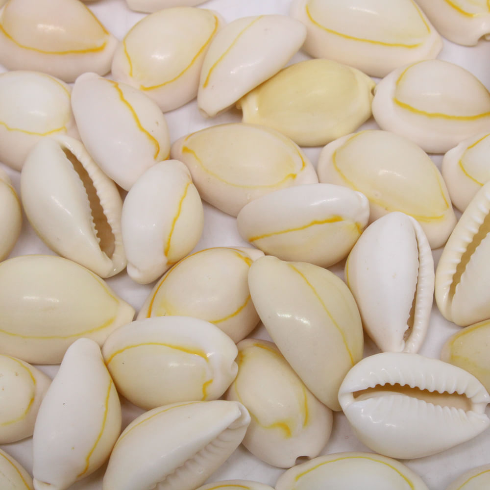 BUZIOS 20X13MM 1KG - Ladeira Bijuterias agora é Armarinhos